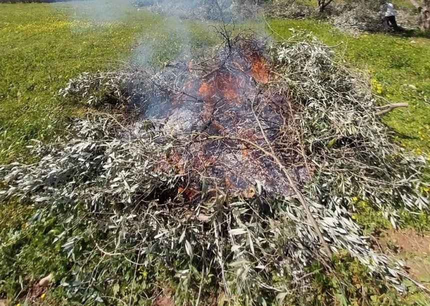 AΠΑΓΟΡΕΥΣΗ ΚΑΥΣΗΣ ΣΤΟ ΝΟΤΙΟ ΑΙΓΑΙΟ ΑΠΟ 11 ΕΩΣ 18 ΜΑΡΤΙΟΥ 2025 – Santonews